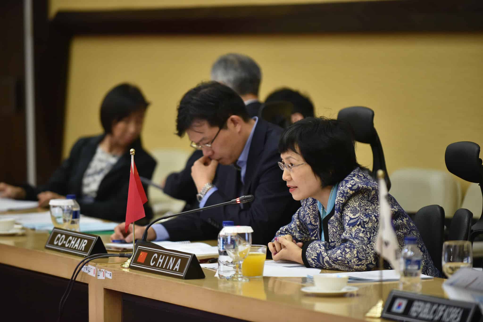 APT The Tenth Meeting of the CPR Plus Three - ASEAN Plus Three